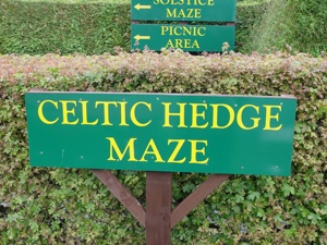 Greenane Maze