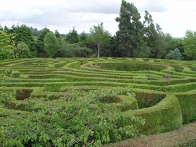 Greenane Maze