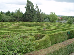 Greenane Maze