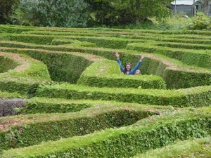 Greenane Maze