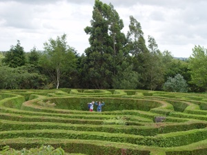 Greenane Maze